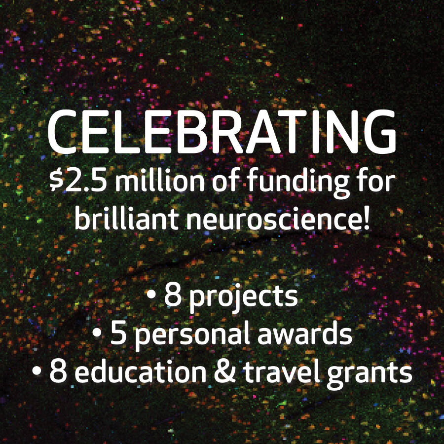 Stroke, Parkinson’s disease, methamphetamine addiction & more: Exceptional breadth of research ...