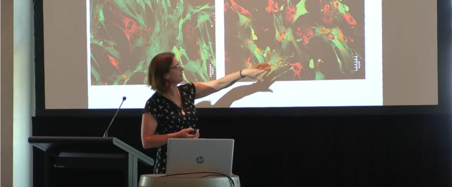 Brain Awareness Month: Blenheim | Neurological Foundation