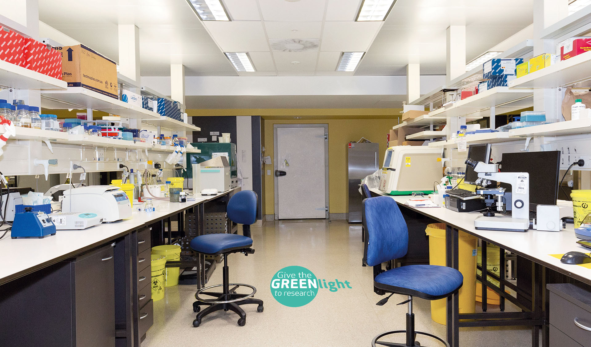 A Pathway to Hope | Neurological Foundation