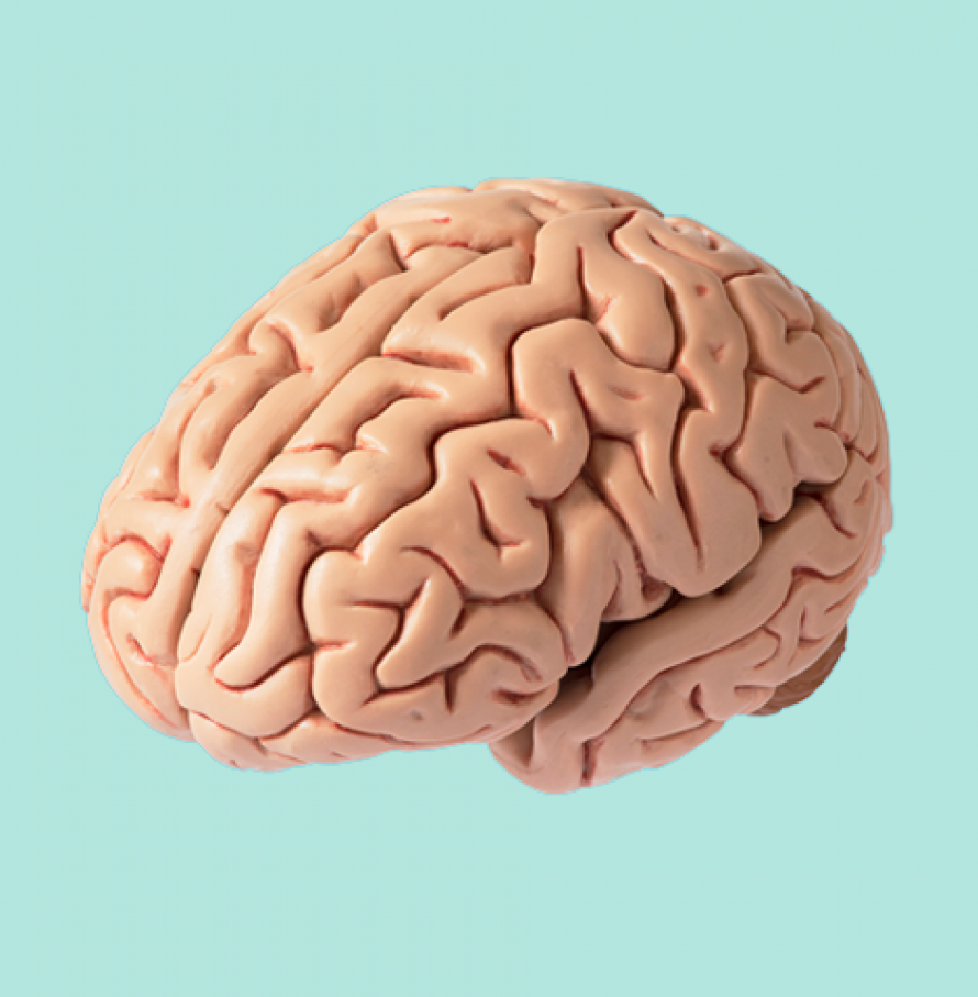 25 years of Brain Banking: Distinguished Professor Sir Richard Faull ...