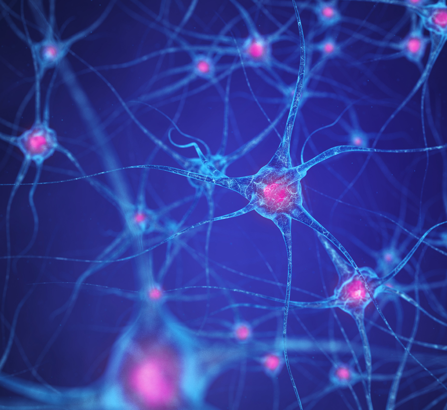 What is neurology? | Neurological Foundation